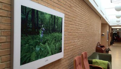 Acoustic Panels for Hospitals & Nursing Homes | Evidence Based Art