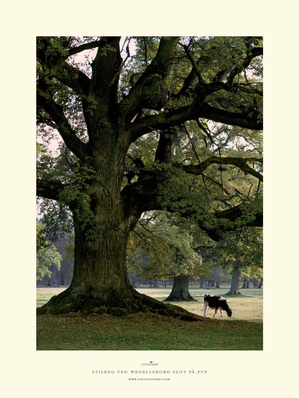 Lydabsorberende billeder til hospitaler og plejehjem, højformat 90x120 cm