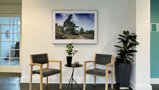Indretning af venteværelse i hospitaler og klinikker | Inspiration+Viden